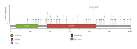 Carm1 Mutation Features In Various Tcga Tumors Cbioportal Tool Was