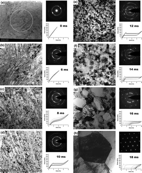 Microstructure And Corresponding Functional Properties In Niti Wires