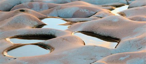 Igcse Marine Science Final Look Inside Sample By Cambridge International Education Issuu