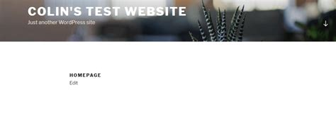 Wordpress Static Homepage How To Set It Up