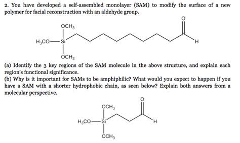 Sam Structure