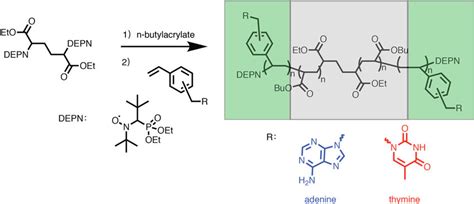 Synthesis Of Adenine And Thymine Nucleobase Functionalized Triblock Download Scientific Diagram