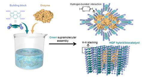 欧阳钢锋院长、陈国胜副教授团队在生物杂交框架研究领域取得新进展：利用氢键、π π堆积超分子组装策略绿色合成稳定的杂化生物催化剂用于电化学免疫传感器 中山大学化学工程与技术学院