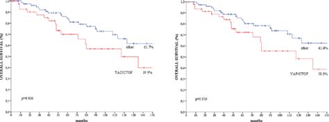 Kaplan Meier Survival Curves Of Overall Survival Regarding A