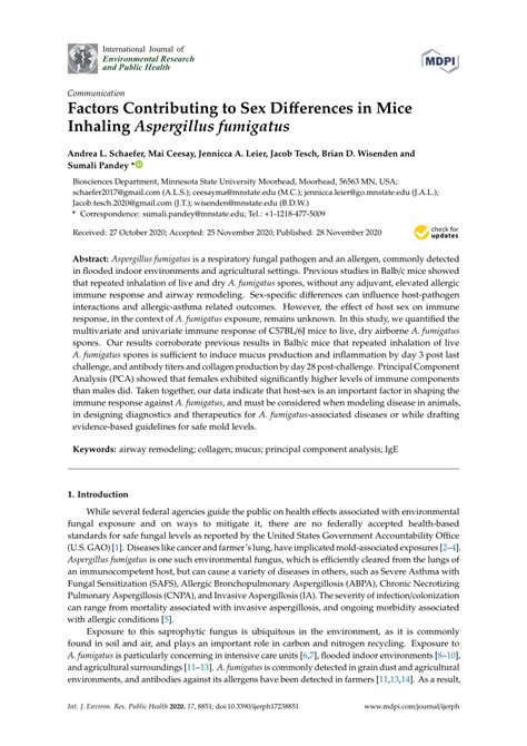 Pdf Factors Contributing To Sex Differences In Mice Inhaling Aspergillus Fumigatus