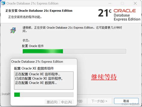 Oracle的安装及使用navicat连接方法（一图到底，傻瓜式教学）navicat Oracle 如何创建 三个电脑连接一起的图标 Csdn博客
