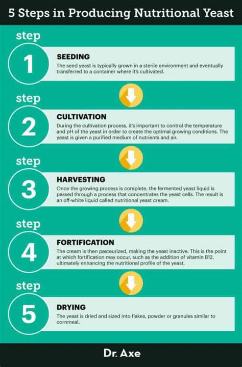 Nutritional Yeast Benefits And How To Use It Dr Axe