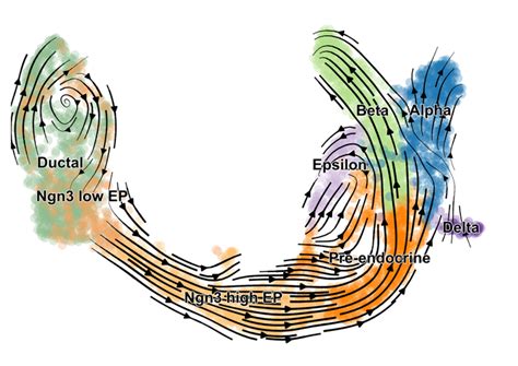 velocyto scvelo综合进行rna velocity分析 知乎