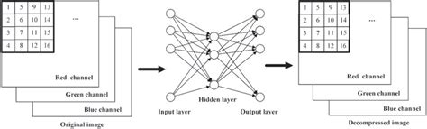 structure of three layer bp neural network download scientific diagram