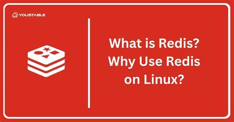 Redis Unter Linux Verstehen Was Sie Wissen Sollten