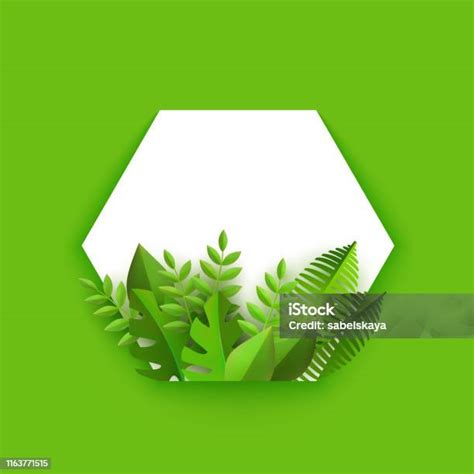 녹색 배경에 고립 된 신선한 식물 잎과 복사 공간을 가진 육각형 모양의 벡터 그림 0명에 대한 스톡 벡터 아트 및 기타 이미지 0명 계절 공예 Istock