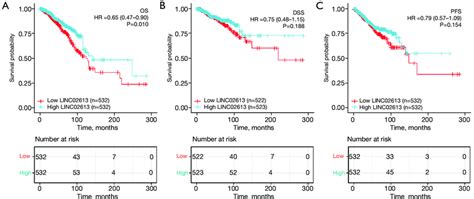 Kaplan Meier Analysis A The Kaplan Meier Plot Of Relationship