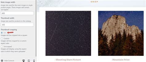 Additional Options For Customizing The Woocommerce Shop Template Thrive Themes