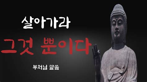 인생은 매일 사는 것이다그 뿐이다 인생을 바꾸는 명언 인생 조언 부처님 말씀 삶의 지혜 철학 처세술 오디오북 Youtube