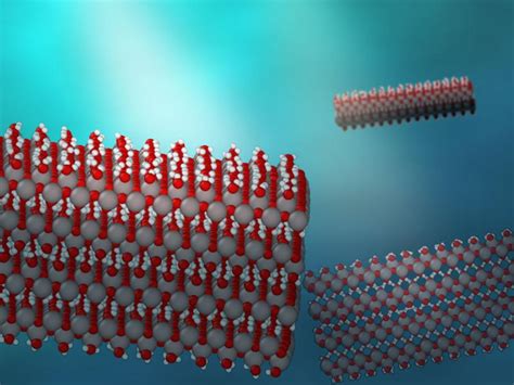 Expanding Scientific Horizons Through High Field Dynamic Nuclear