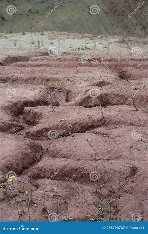 Mud Channels Stock Image Image Of Mini Channels Traces 255790737