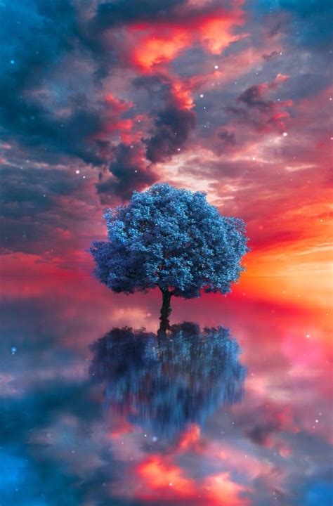 Tree Of Life Art At Sunset