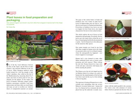 Pdf Plant Leaves In Food Preparation And Packaging
