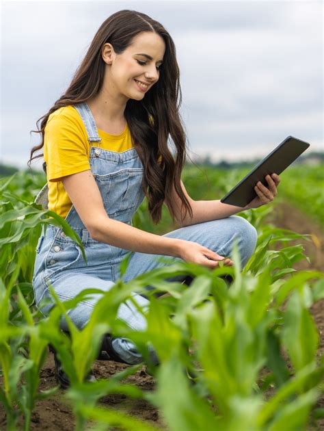 Dih Agrifood Traceability Infrastructure Dih Agrifood