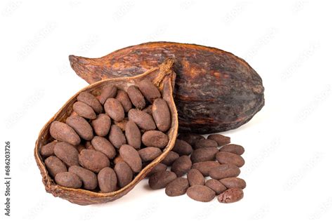 Roasted Cocoa Beans In Dried Cocoa Pods Cut In Half Placed On Top Of Dried Cocoa Isolated On