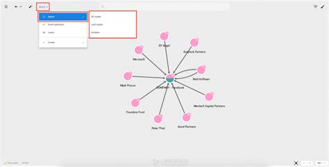 Manipulating The Graph Select Nodes And Edges Linkurious User Manual 3 0 14