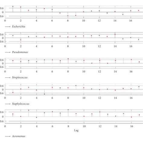 Autocorrelation Function Of The Relative Abundances Stochastic Process