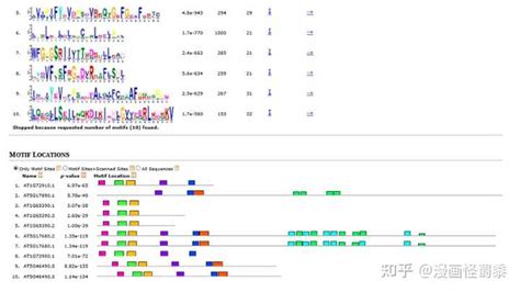 想用差异基因做motif分析，要怎么做 知乎