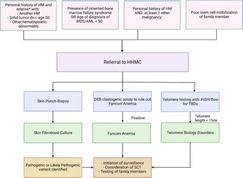 Indications For Referral To Our Hereditary Hematologic Malignancy Download Scientific Diagram