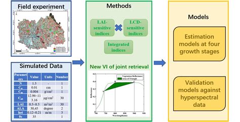 Remote Sensing Free Full Text Joint Retrieval Of Winter Wheat Leaf Area Index And Canopy