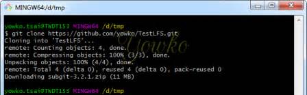 使用 Git Lfs 儲存大型檔案 Yowkos Notes
