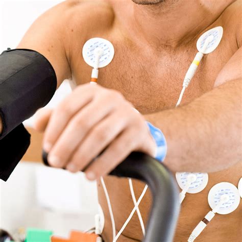 ECG Accessories Electrodes Clips Adaptors Lead Wires