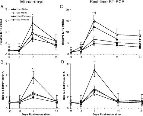 Involvement Of Gonadal Steroids And Gamma Interferon In Sex Differences