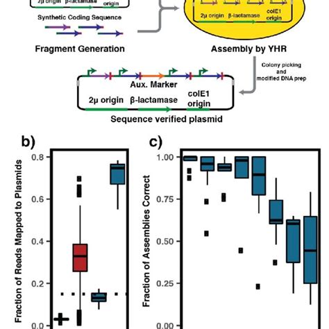 Dna Assembly By Yeast Homologous Recombination A Dna Assembly From