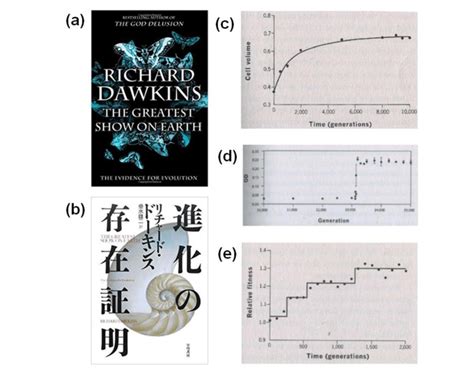 Evidence For On Going Bacterial Evolution Observed In The Laboratory As