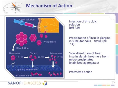 Comparison Of Basal Insulins Initiation And Titration Of Lantus Ppt Download