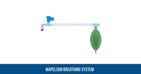 Mapleson Anesthetic Breathing Circuit Agrin