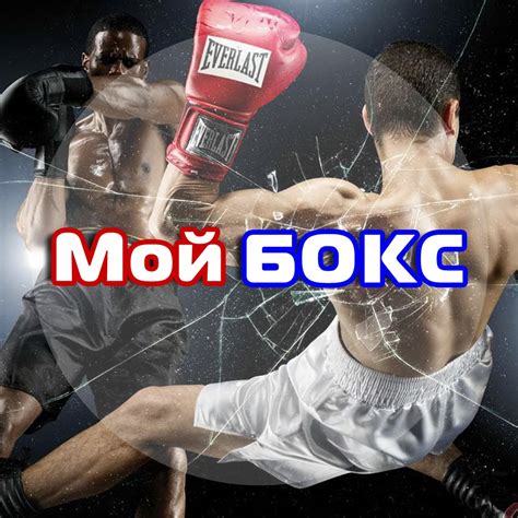 Мой Бокс приложение для Ios Android 2024 ВКонтакте