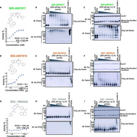Updating Sherloc Based Classification With Functional Assay Results In