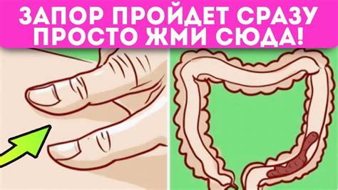 Часто хожу в туалет по большому