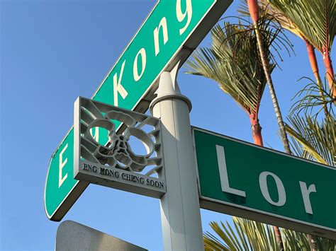 The Wandering Fool Nothing Better To Do Just Go Walk Walk