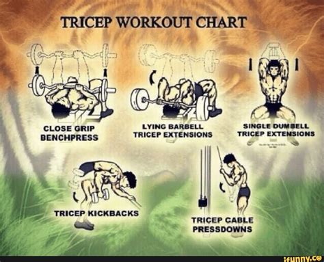 Tricep Workout Chart