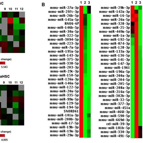 Mirna Pcr Array Heatmaps Primary Mouse Qhsc Ahsc And Ahsc Treated Download Scientific
