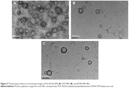 A Novel Type Of Self Assembled Nanoparticles As Targeted Gene Carriers
