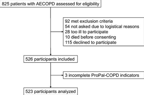 Full Article External Validation And User Experiences Of The Propal