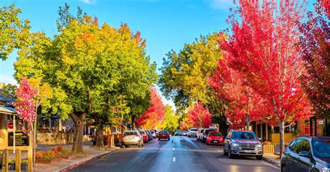 Visit Adelaide Hills I Hahndorf German Village Visit Adelaide Hills