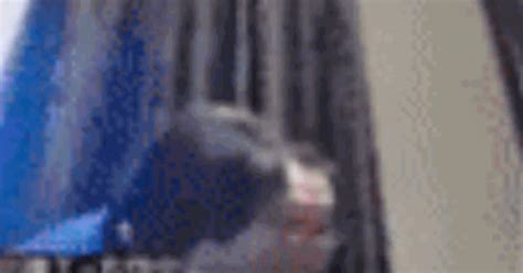 화상회의 중 내연녀 애정행각中 최고권위 과학자 불륜 들통 차이나픽