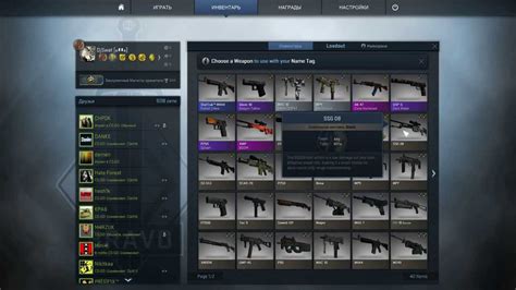 Name Tag In CS GO StatTrak M A Faded Zebra YouTube