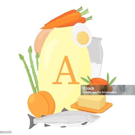 레티놀을 함유한 비타민 A 식품의 공급원 수집 유제품 생선 채소 및 계란 인체용 비타민 흰색 배경에 격리 된 플랫 벡터 디자인 만화 벡터 일러스트레이션 건강관리와 의술에