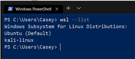 Customize The Windows Terminal Like A Boss Casey Mullineaux