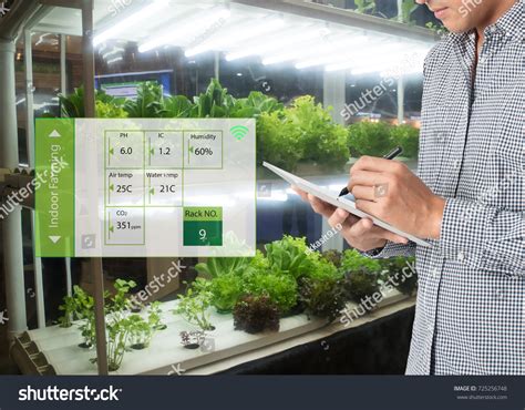 Vertical Farming Over 38 262 Royalty Free Licensable Stock Photos Shutterstock